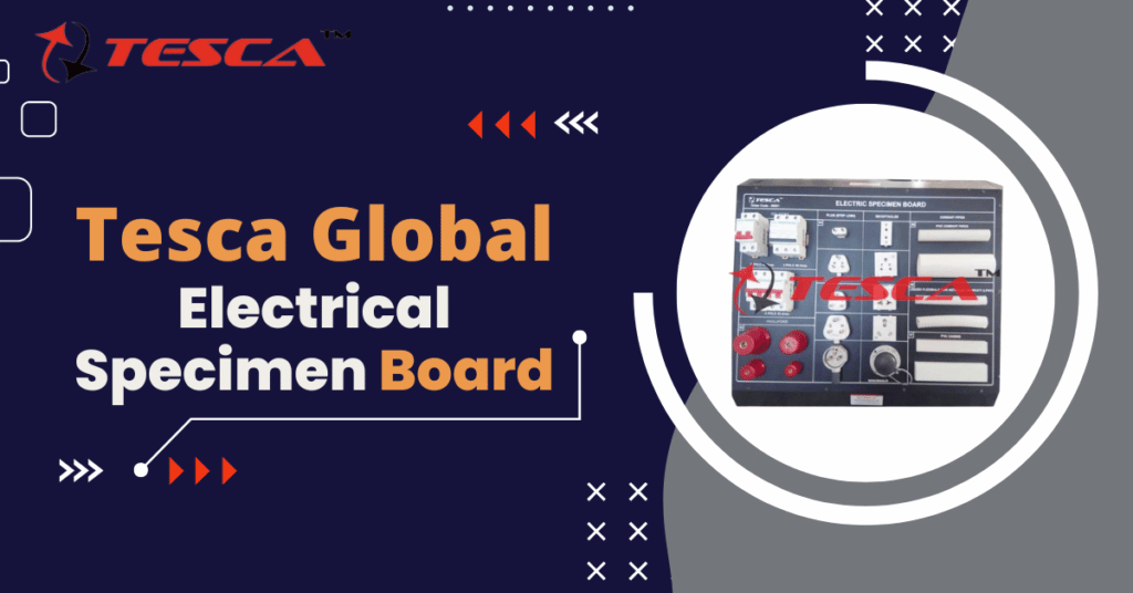 Electrical Specimen Board: A Simple (But Complete) Guide